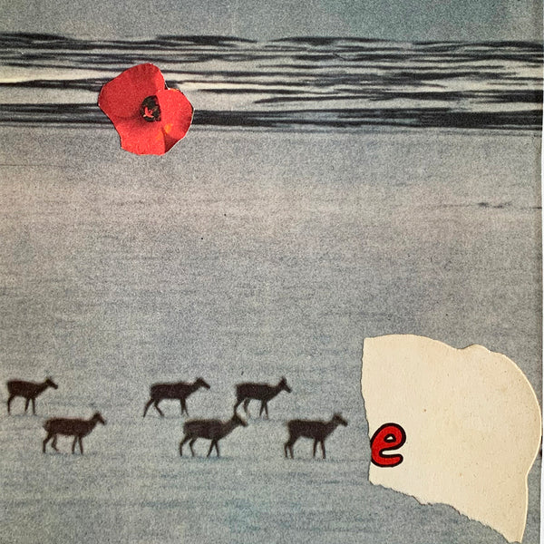 Jason Glasser - collage 02 – SUPEREDITIONS